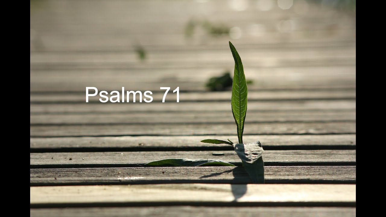 Psalms 71 - YouTube