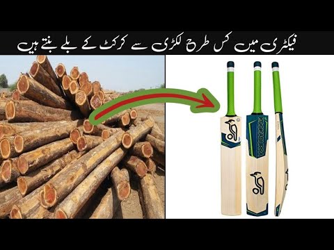 how to make cricket bat from wood in factory - YouTube