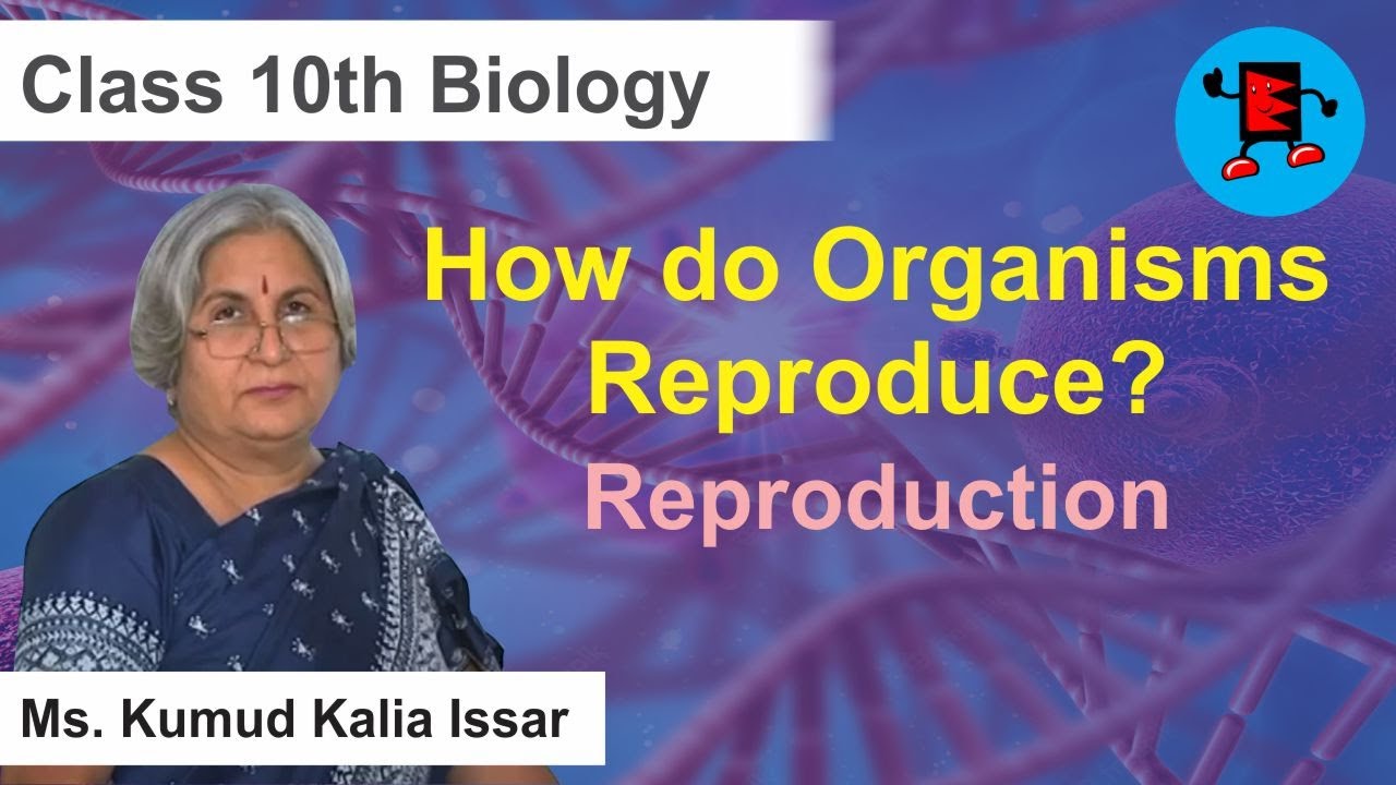 CBSE Class 10 Biology How Do Organisms Reproduce Reproduction - YouTube