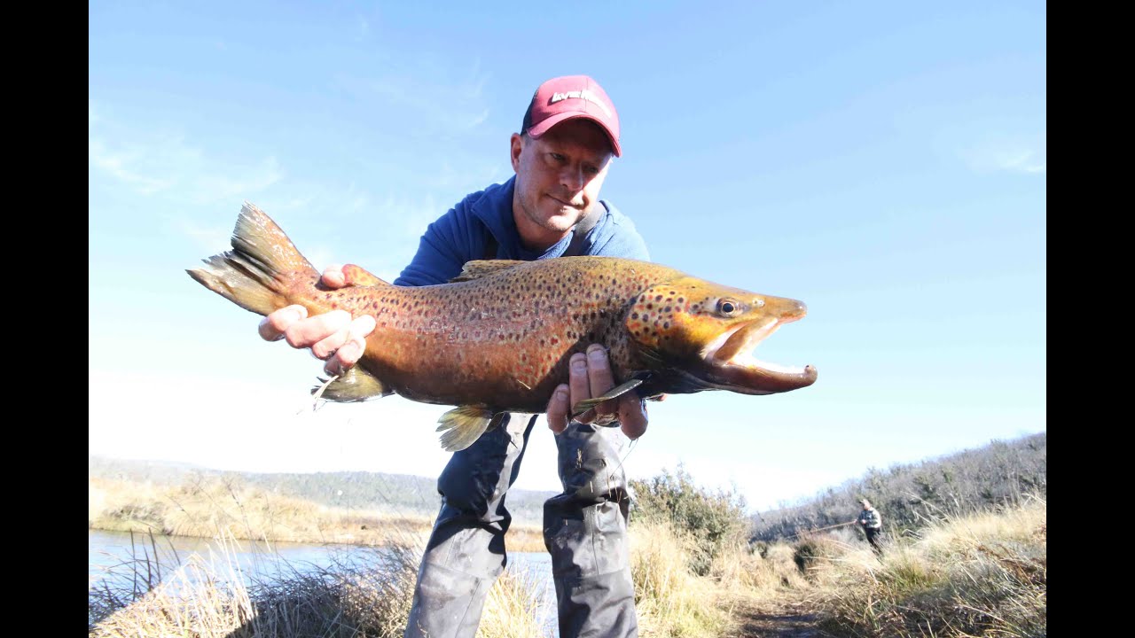 Talking Tackle for Trout - YouTube
