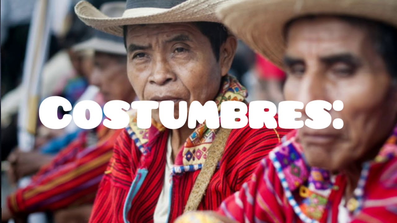 LOS TOLUPANES TODO LO QUE DEBES SABER - YouTube