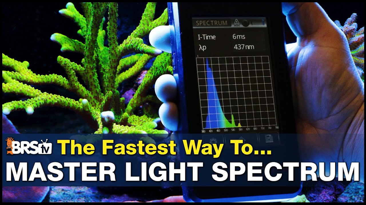 Master Spectrum - It’s time to change the way we think about reef tank ...