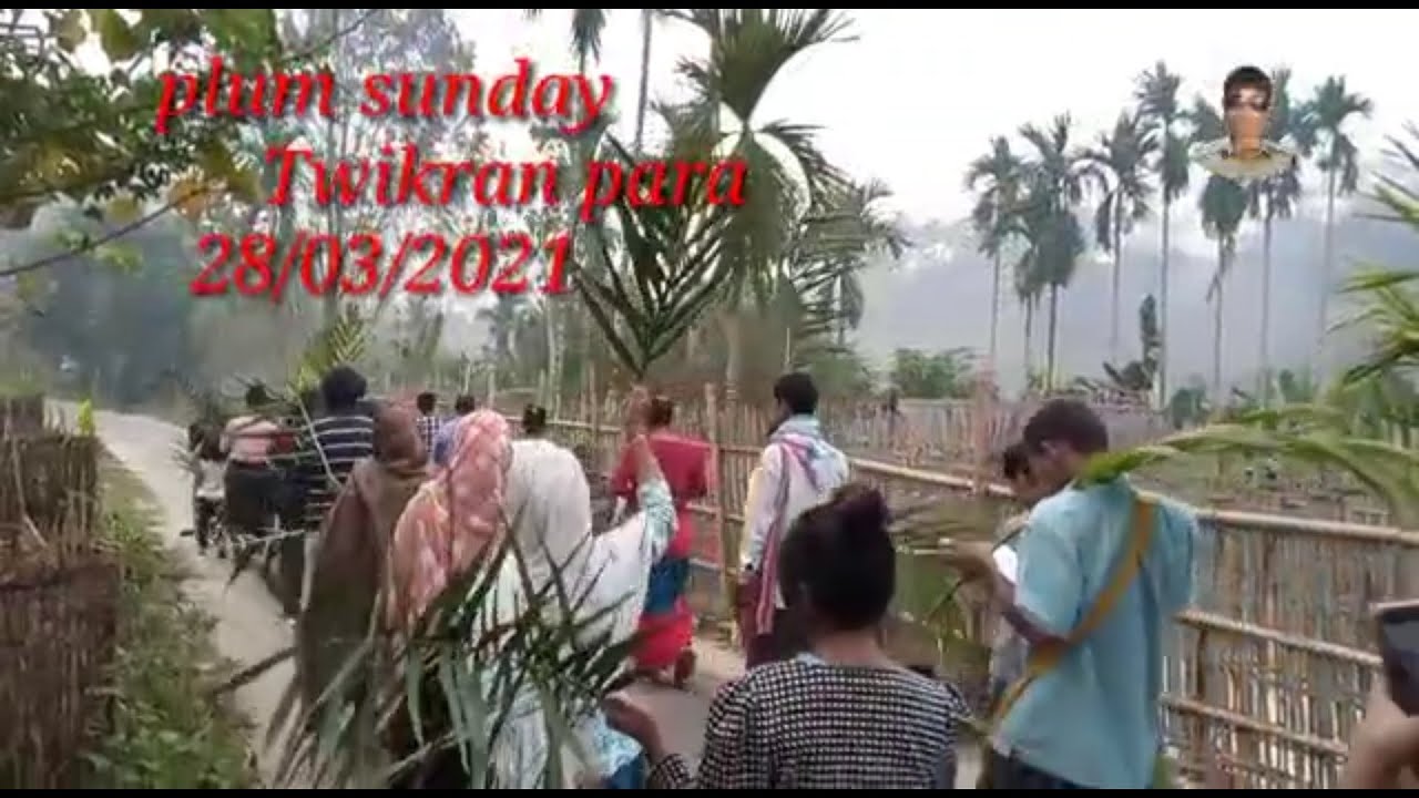 Plum Sunday.. Twikran Presbyterian Church - YouTube