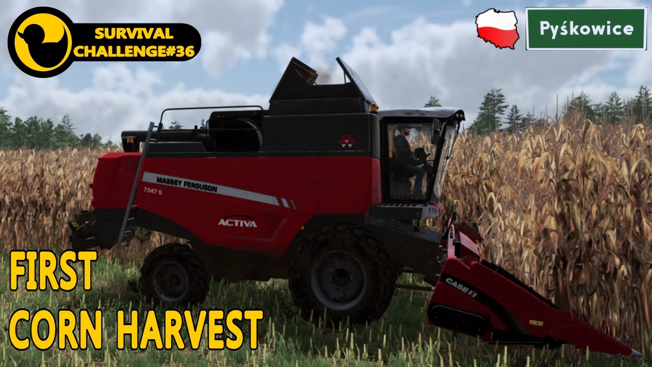 FIRST CORN HARVEST|SURVIVAL CHALLENGE#36|TIMELAPSE|FARMING SIMULATOR 22 ...