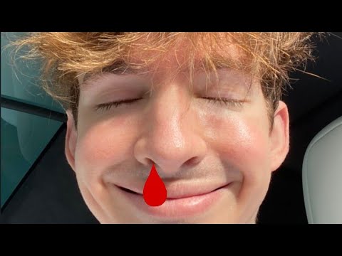 Fighting Flamingo/AlbertsStuff - YouTube