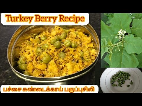 Pacha Sundaikkai paruppusili | Turkey Berry Recipe in Tamil | Raw ...