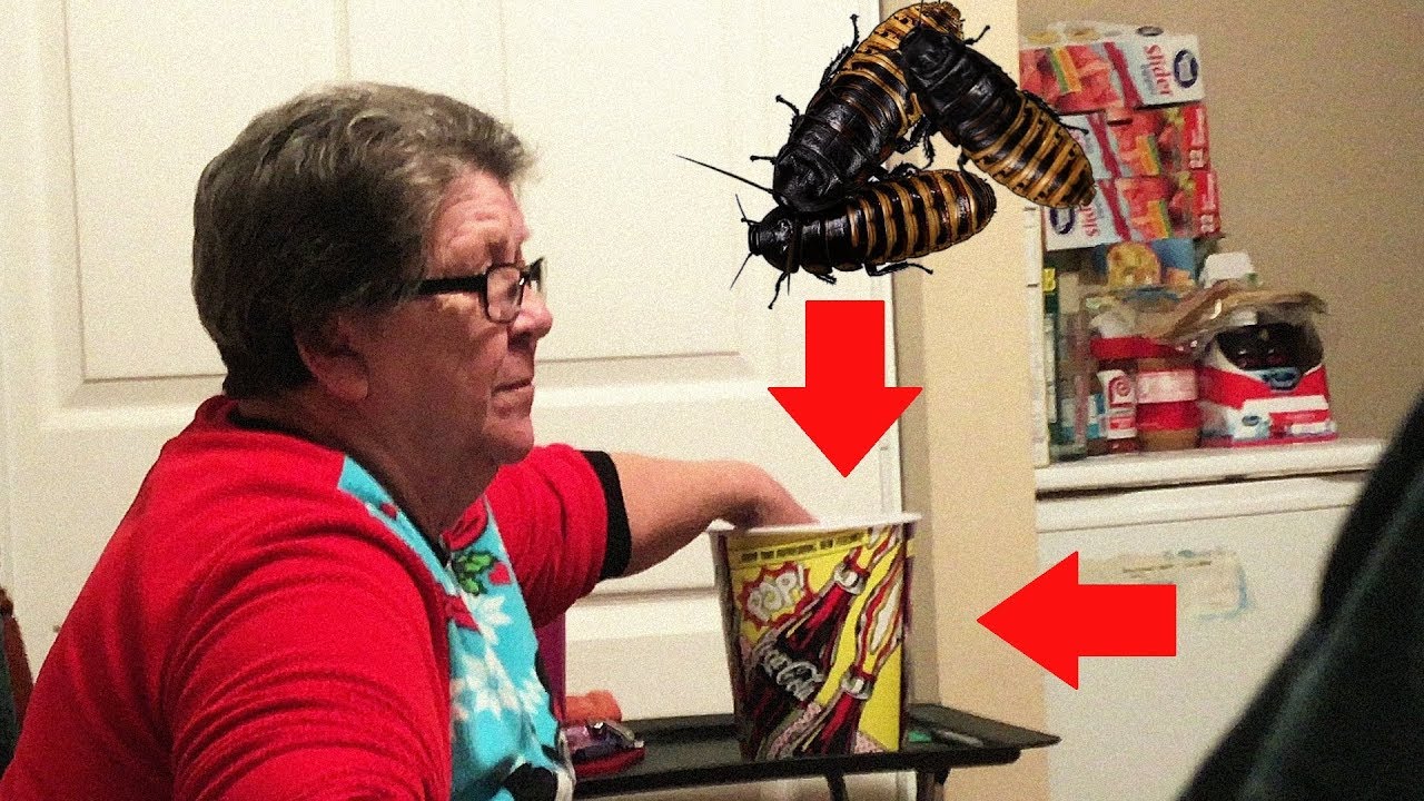 ANGRY GRANDMA / BUGS IN FOOD PRANK! - YouTube