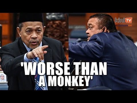 Dewan Rakyat heats up after MP accused of behaving 'worse than a monkey ...