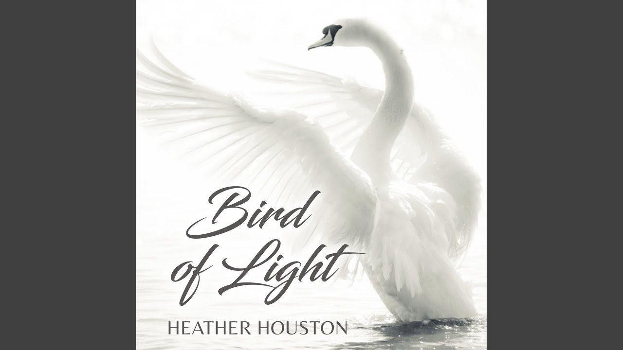 Bird of Light - YouTube