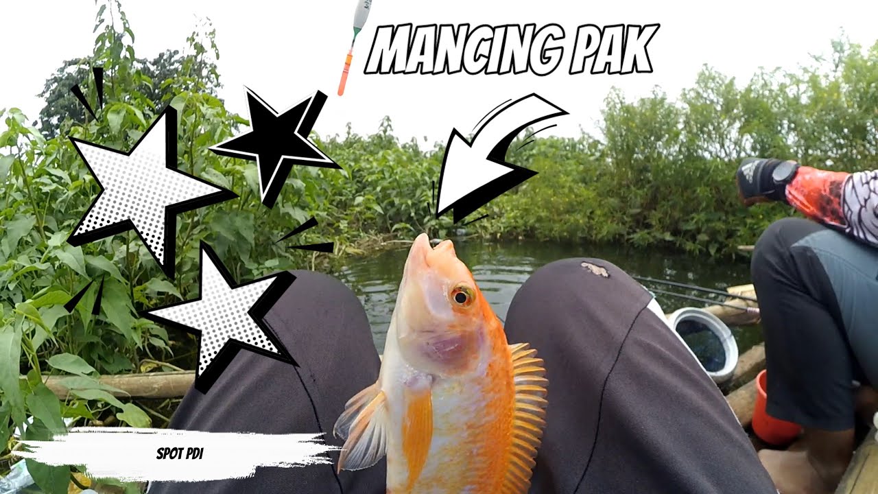🔴 MANCING PAK WELCOME BACK 🤣AKHIRNYA MANCING LAGI DI SPOT P. PDI W ...