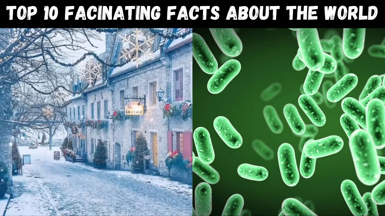TOP 10 fascinating facts about the world that will blow your mind ...