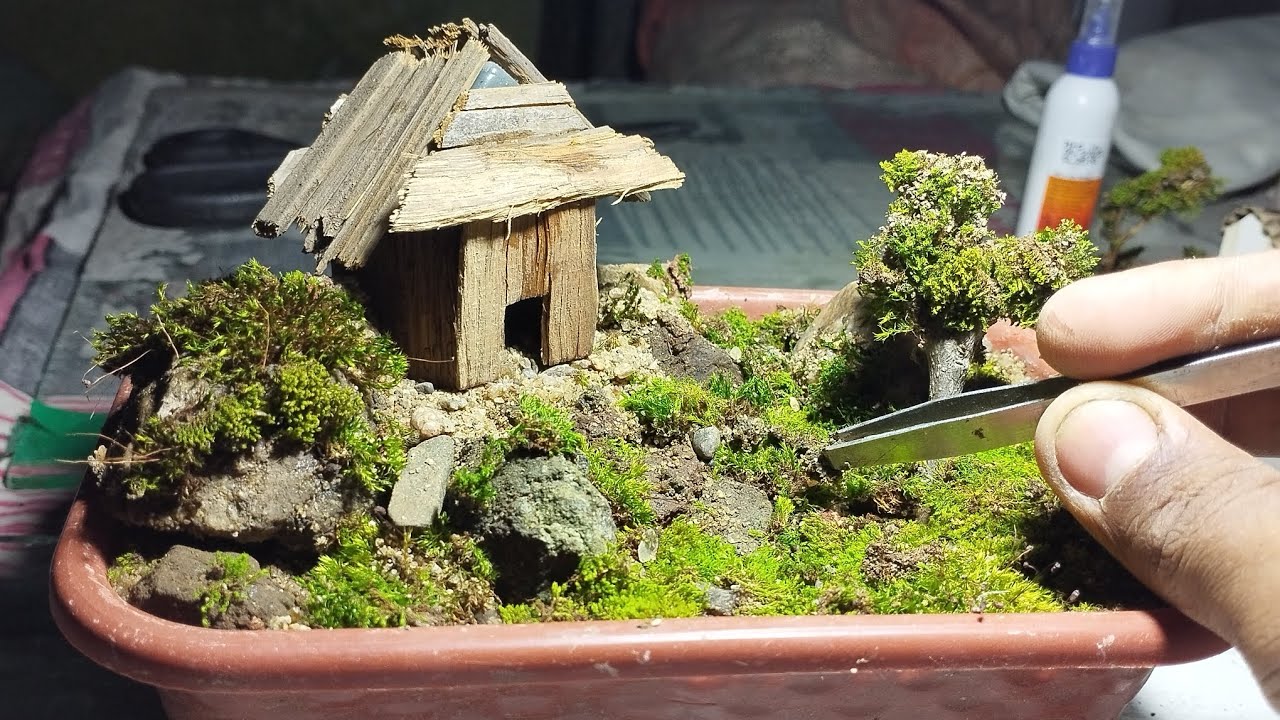 moss mini garden ll mini home ll mini House ll moss mini garden ll ...
