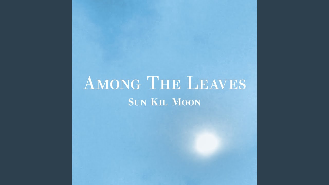 Song for Richard Collopy - Sun Kil Moon: Song Lyrics, Music Videos ...