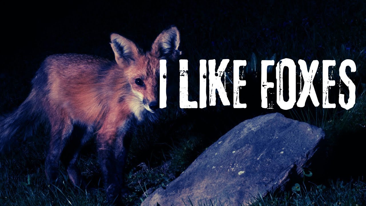 I like foxes | Creepypasta - YouTube