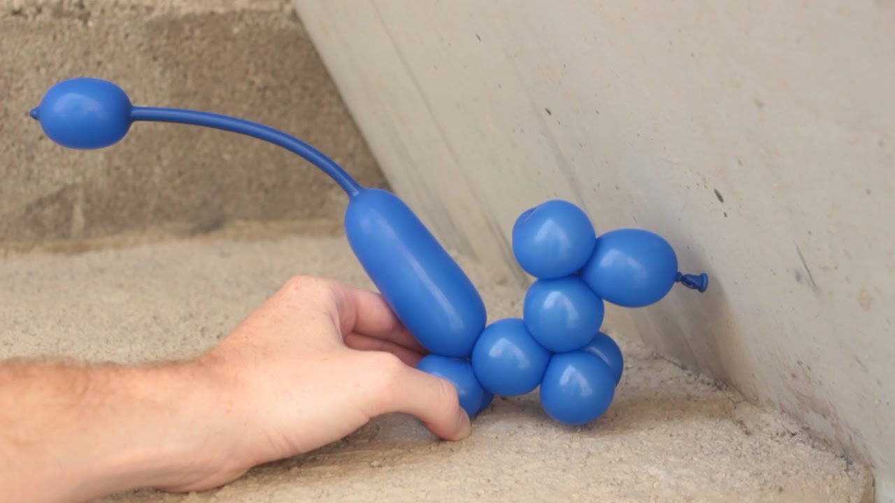 Como hacer un perrito con un globo | iniciación a la globoflexia - YouTube
