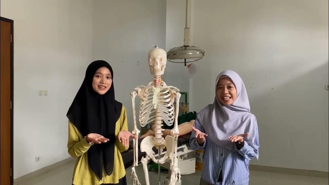 3A KELOMPOK 4 ANATOMI SISTEM MUSKULOSKELETAL - YouTube