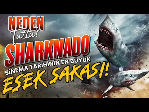 Sharknado: Sinema Tarihinin En Büyük Eşek Şakası! - Neden Tuttu?