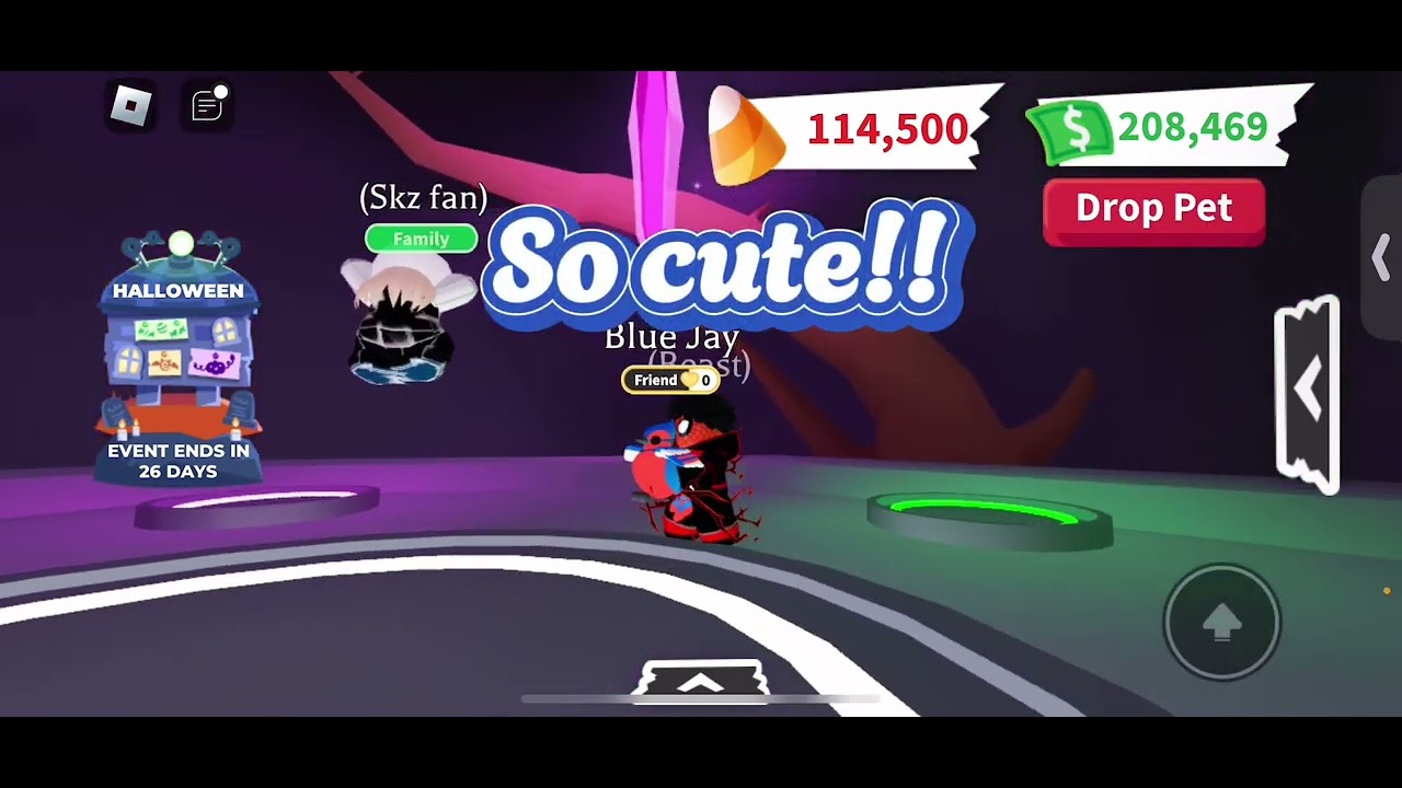 Mega Blue Jay & Mega Dracula Fish - YouTube