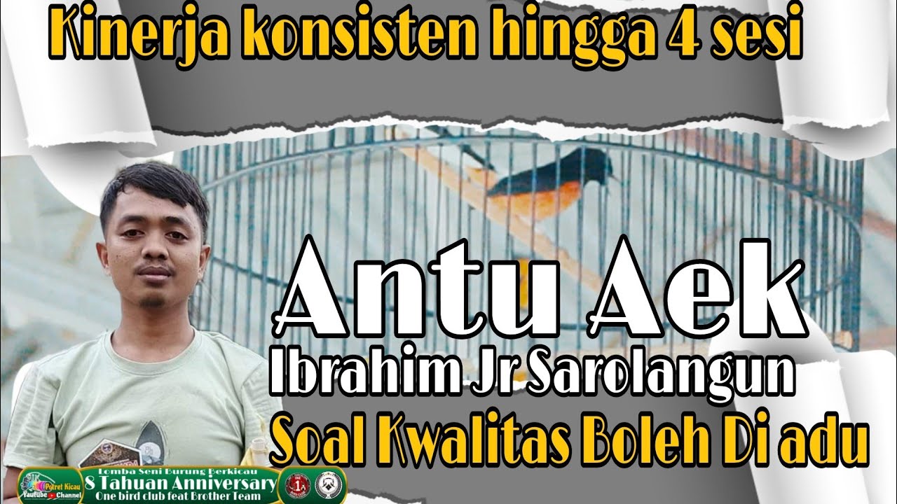 MURAI BATU ANTI AEK||SOAL KWALITAS BOLEH DI ADU - YouTube