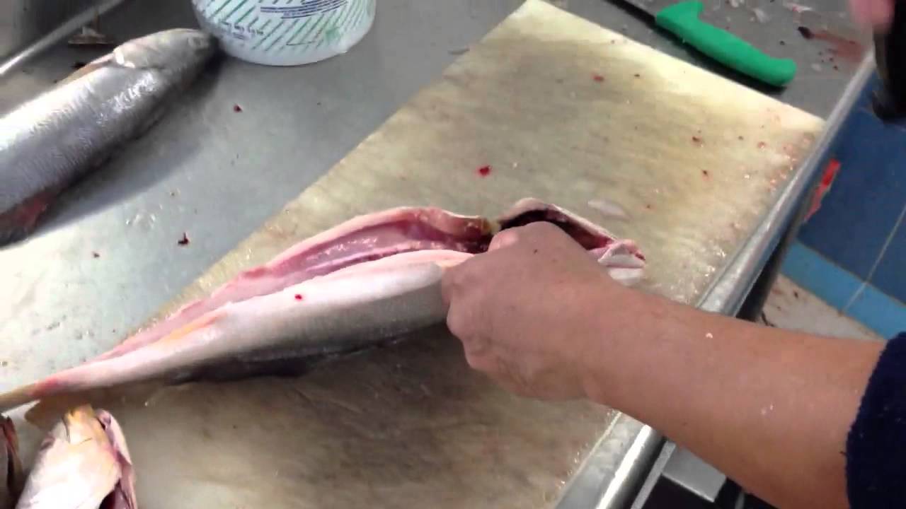 Preparación pescado para zarandear - YouTube