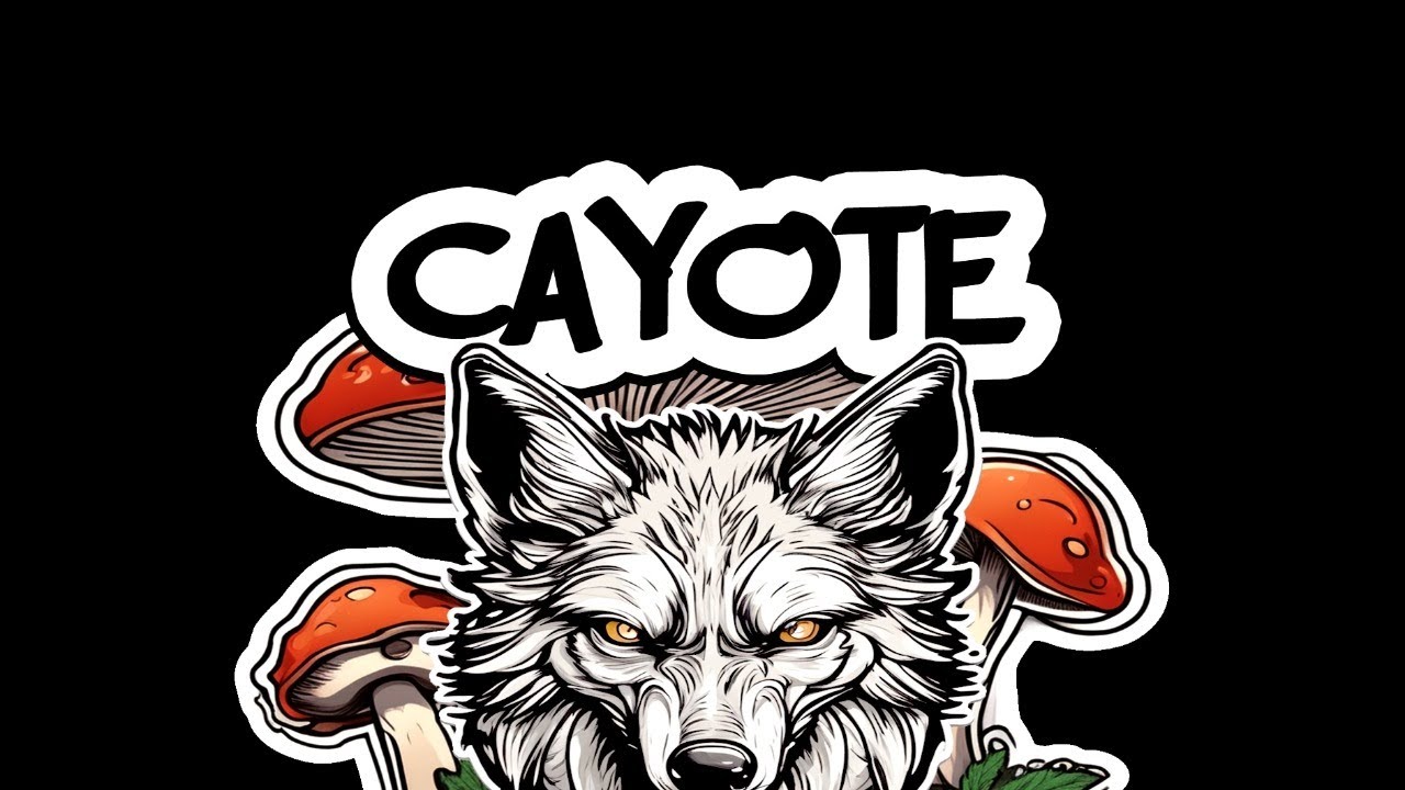 LAST WAKE AND BAKE OF 2023 - YouTube