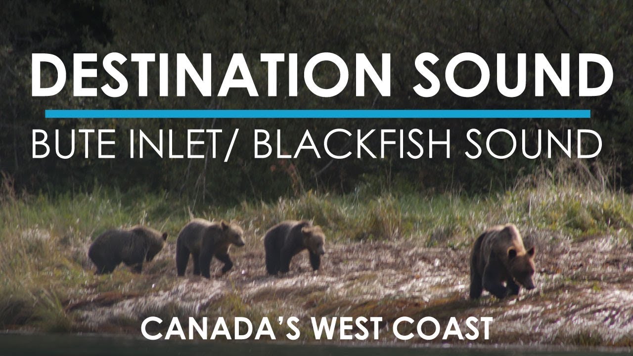 Exploring BC's Central Coast - Desolation Sound, Bute Inlet, Orcas ...