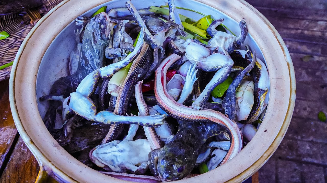 Wow😱 Best Food Cooking Snake & Frog Recipe 2023 - YouTube