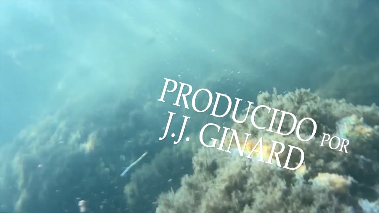 Motion Graphics Film Credits for short film "MNEMOS" - YouTube