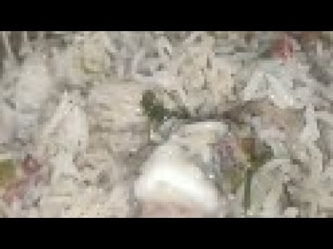 beef yakhni pulao recipe by food with arooj - YouTube