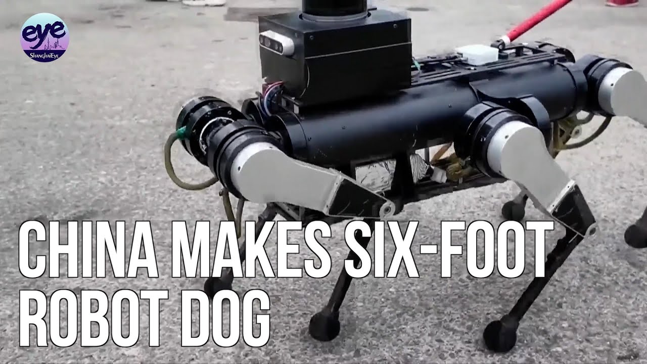 Chinese scientists present robot guide dog for visually impaired at ...