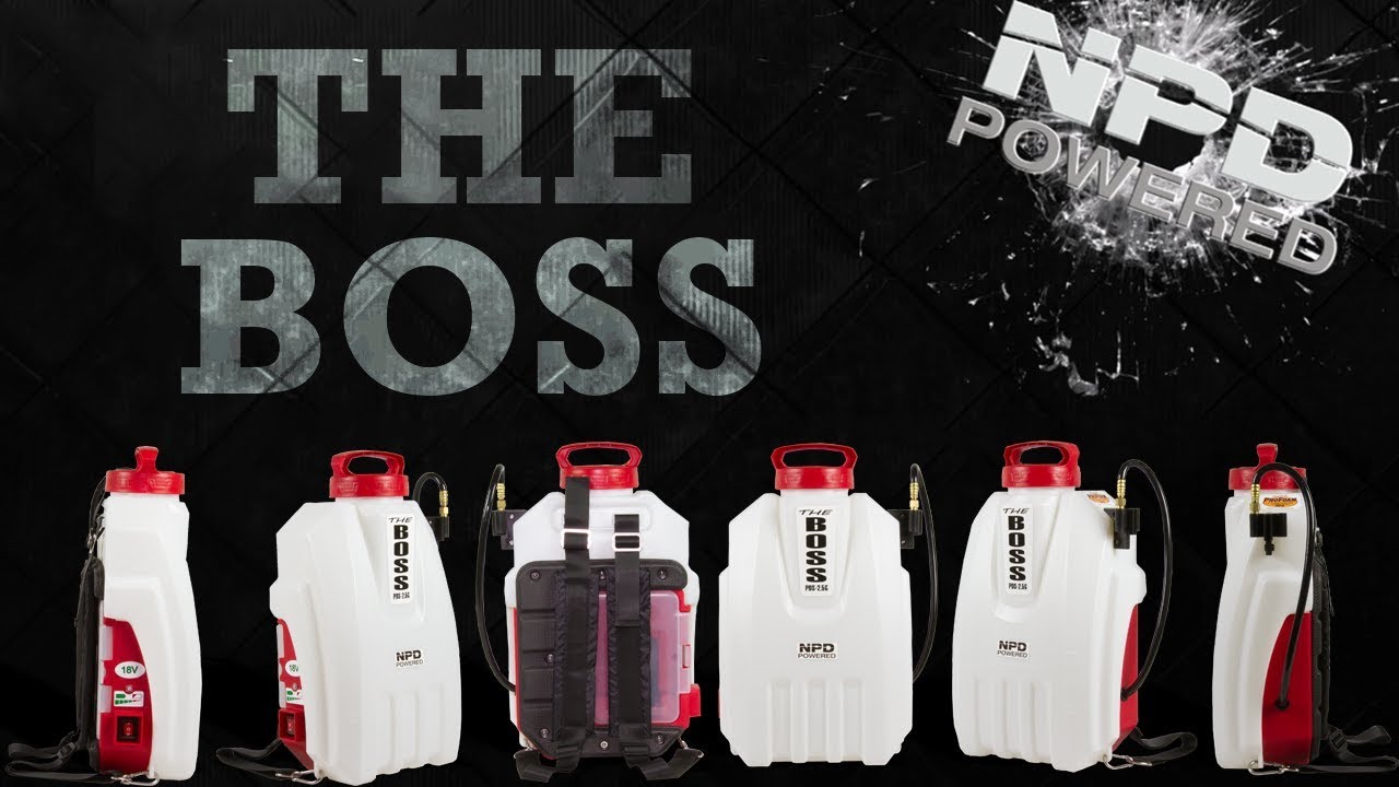 THE BOSS IN DEPTH : EVERYTHING YOU NEED TO KNOW - YouTube