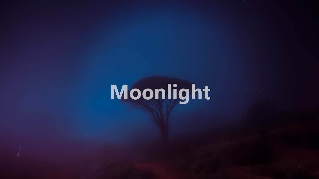 Moonlight- Dark Ambient Music Playlist - Dark Misty Forest With Ambient ...