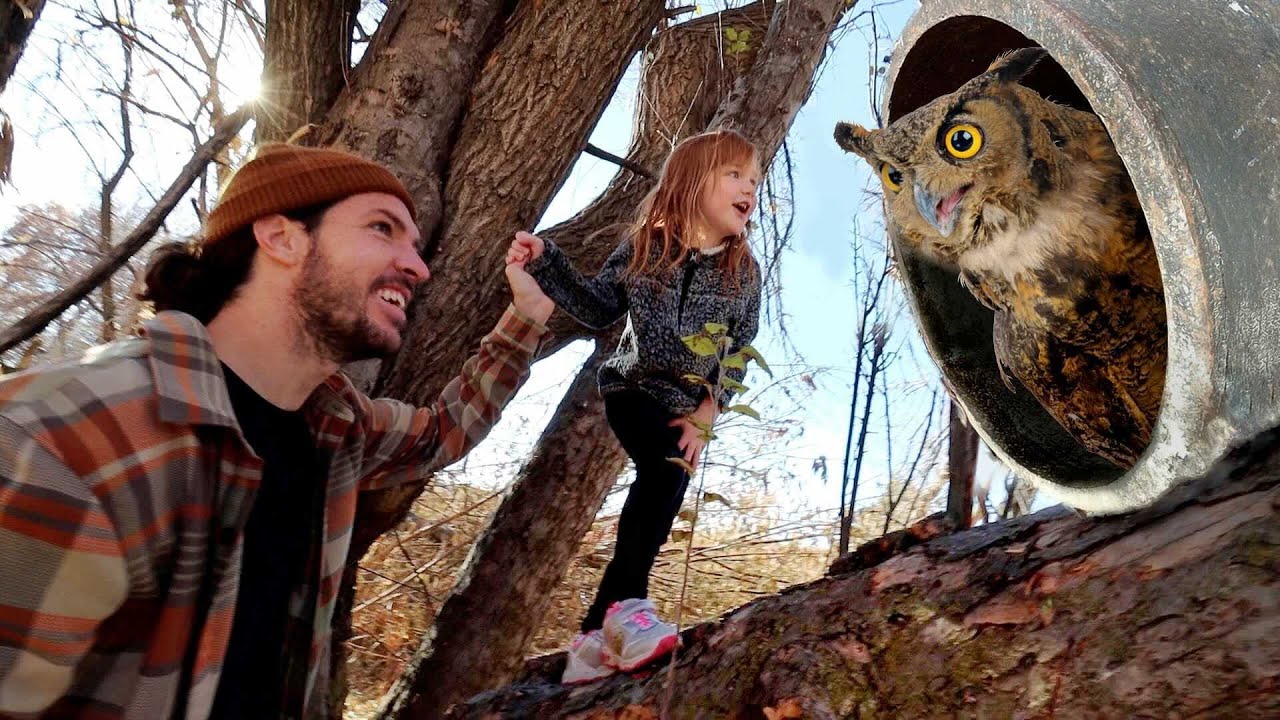 BiRD PARK 🦉 with Adley & Dad!! Exploring & Learning about Animals on my ...