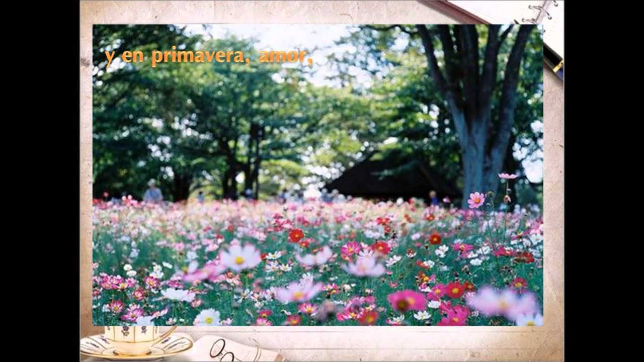 Tu risa- pablo neruda - YouTube