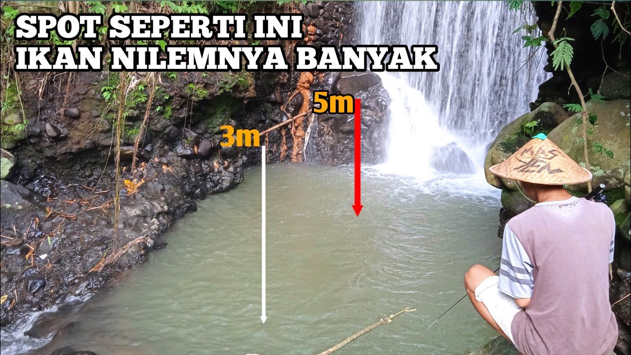 Nutul Nilem arus deras jackpot monster sungai //nutul melem //mancing ...