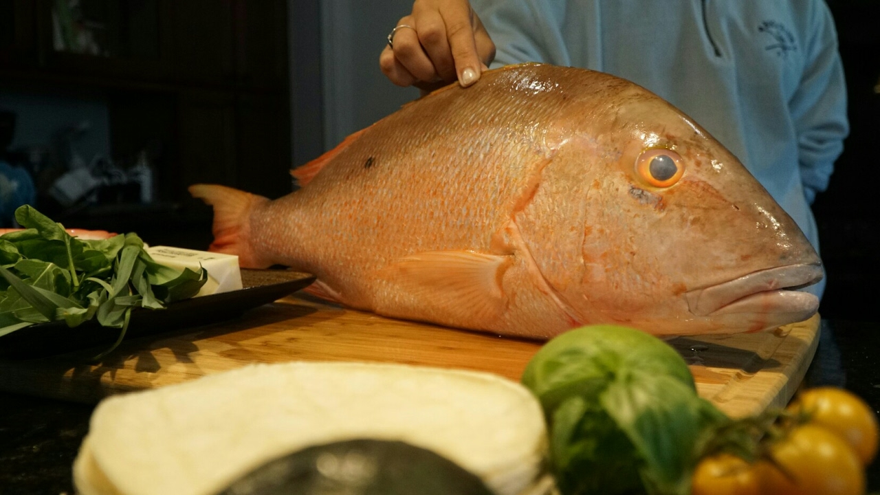 CATCH AND COOK: One of the Tastiest Fish in the Sea - YouTube