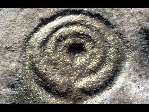 Weem Wood Walk and Saint David's Well FTHVN 429 - YouTube