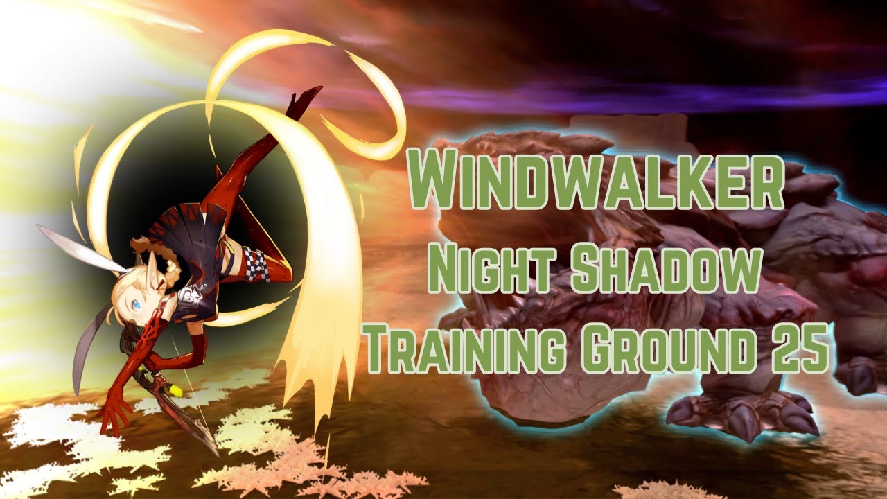 [Dragon Nest SEA - Wind Walker] Night Shadow Training Ground LB25 - YouTube