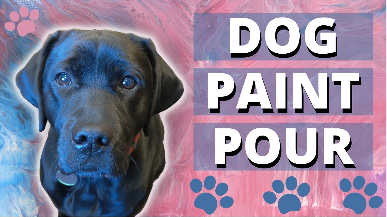 MY DOG DOES A PAINT POUR! An Acrylic Paint Pour With My Dog - Pink ...