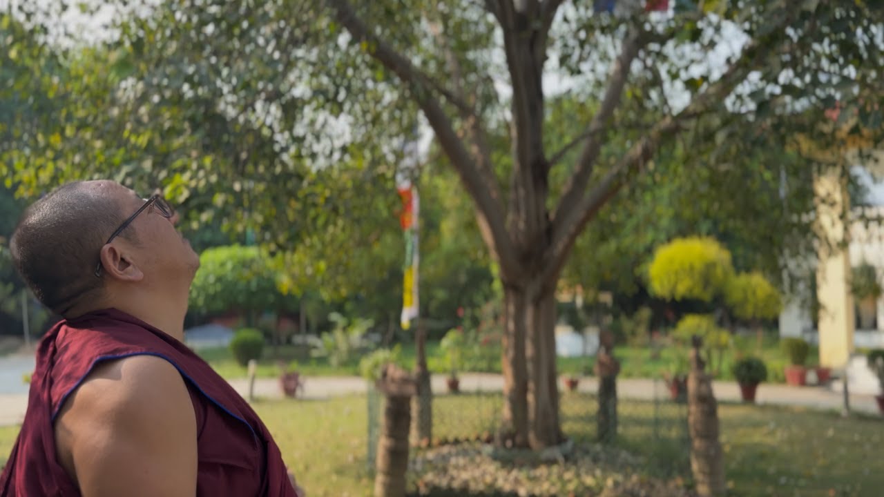 Under the Bodhi Tree with Khenpo Kunga: Four Key Moments in the Buddha ...