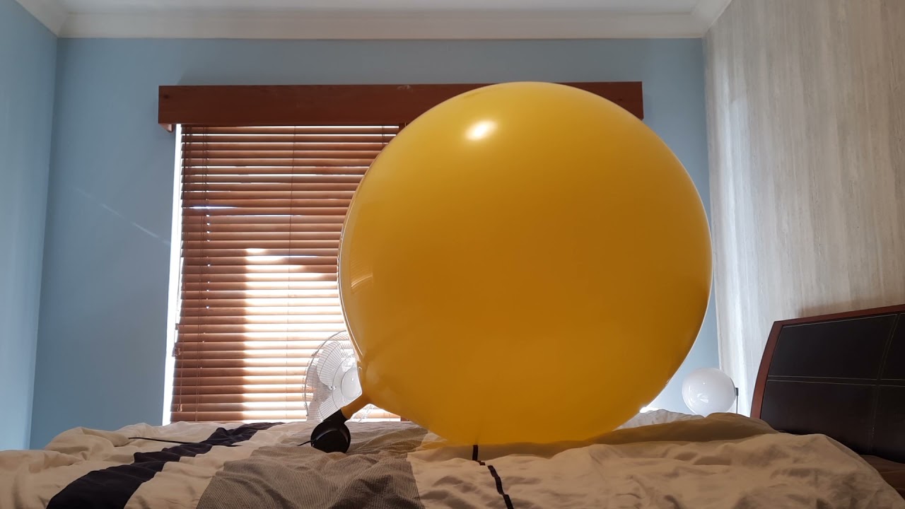 pump to pop huge yellow 36 inch qualatex balloon - YouTube