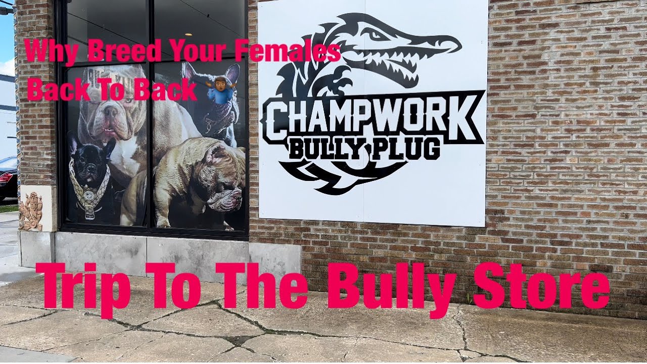 The #1 Bully Supply Store In The Midwest!!! Cleaning The Facility - YouTube