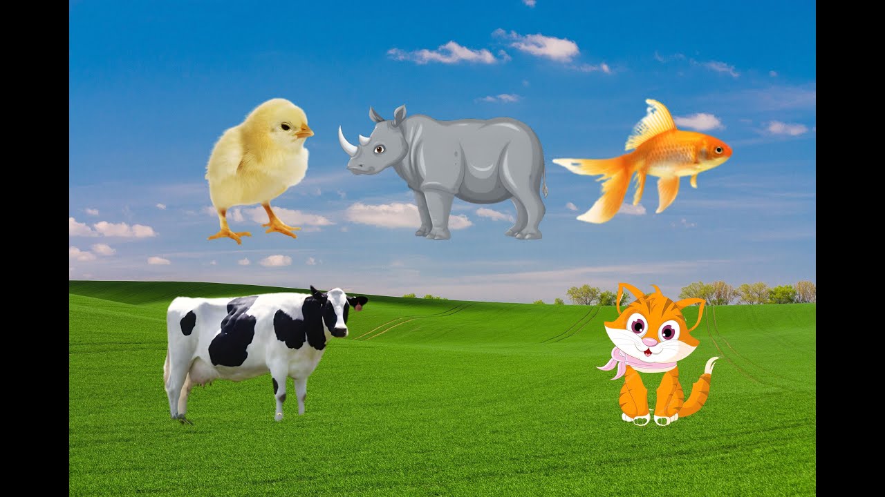 CUTE ANIMALS - Cow, Fox, Zebra, Elephant, Dog, Cat, Chicken - Learning ...