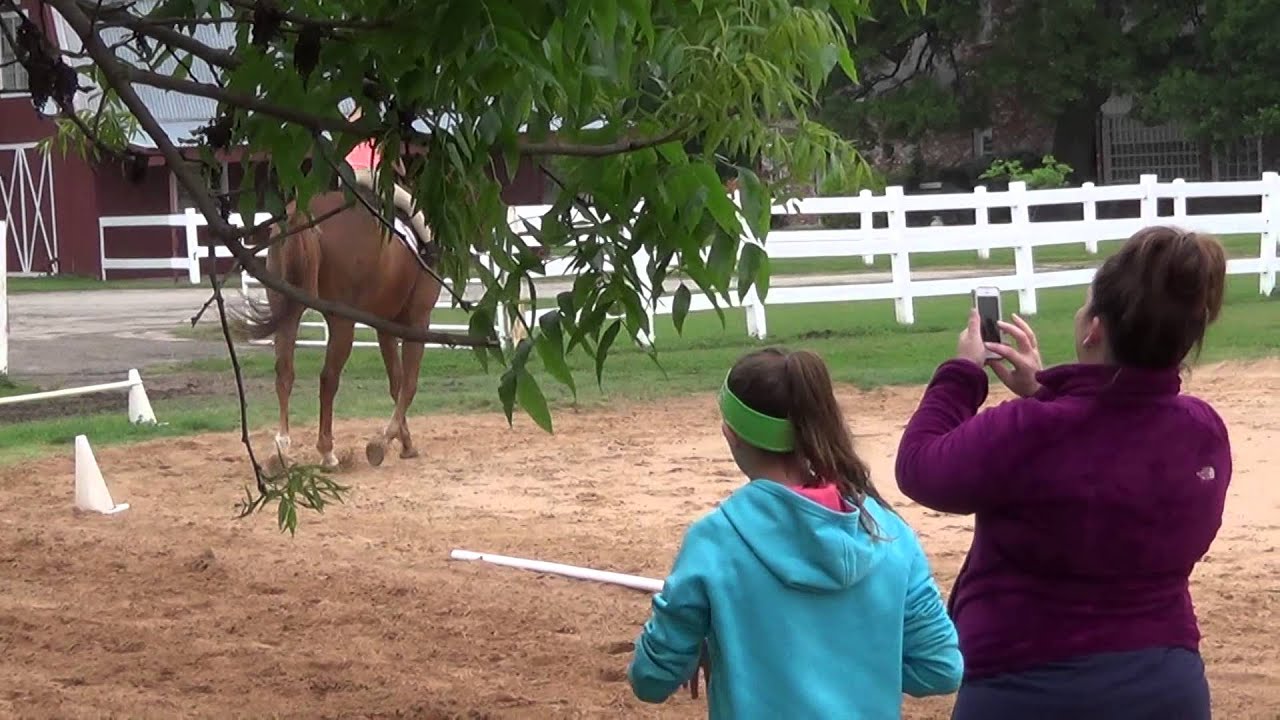 Alexis and Sully 4-18-15 - YouTube