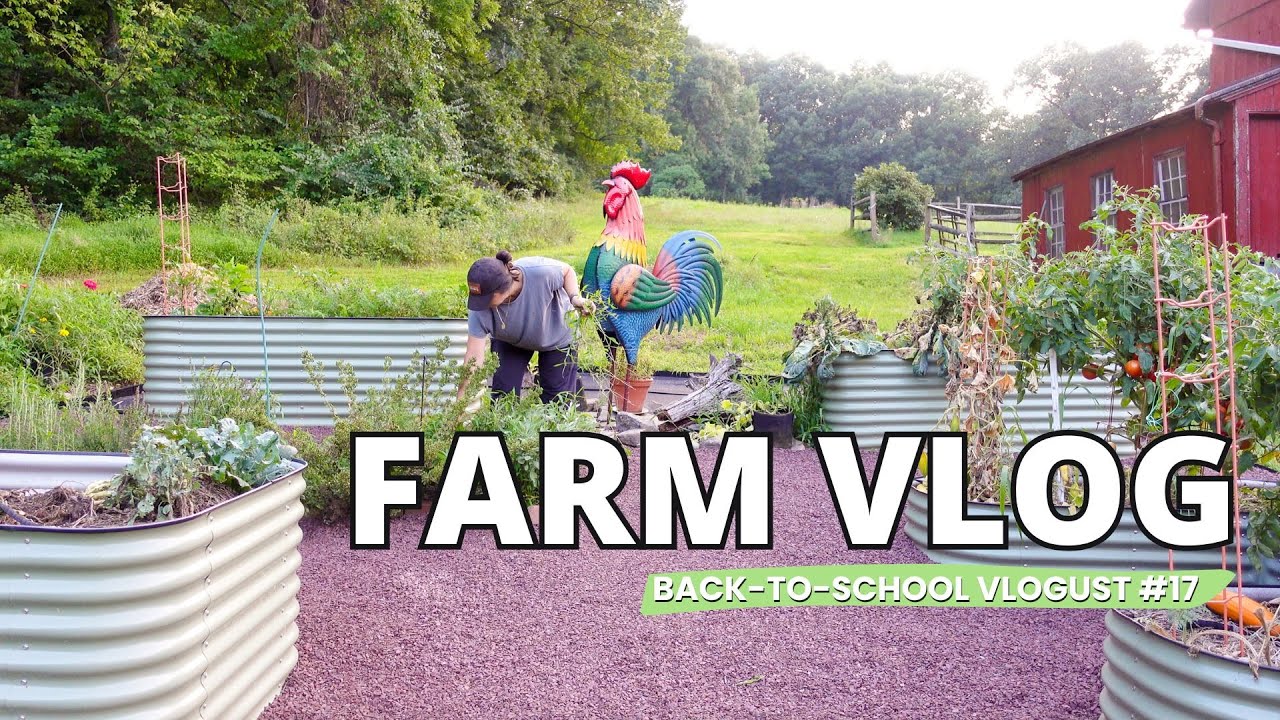 Cozy Outside Farm Vlog | Back-to-School Vlogust #17 - YouTube