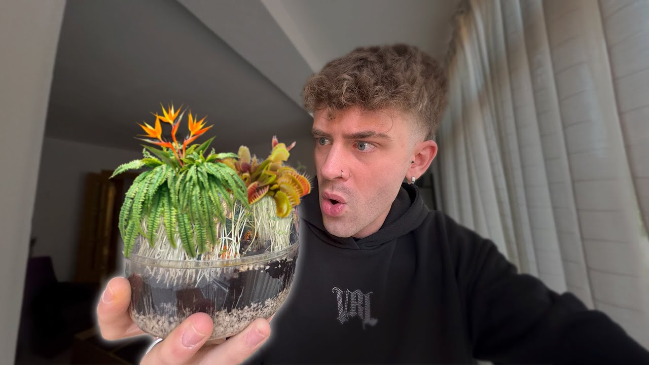 UN MINI BOSQUE EN CASA! - YouTube