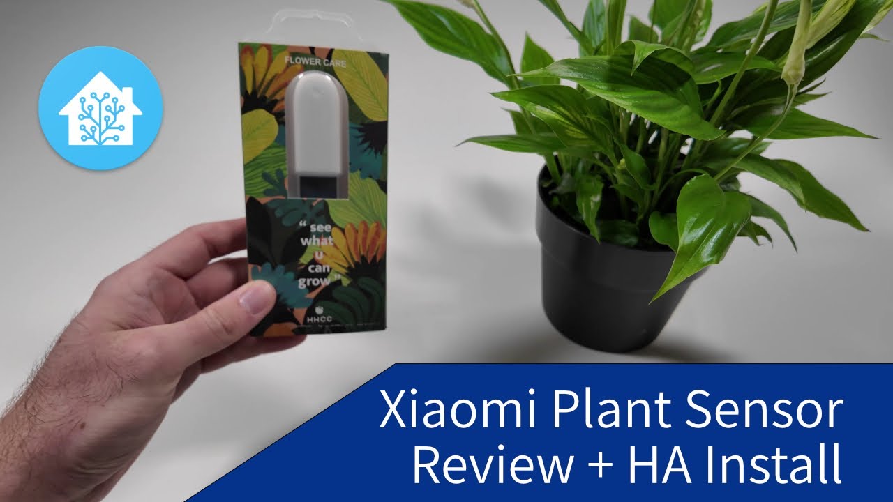 Xiaomi Plant Sensor Review and Home Assistant Installation - YouTube