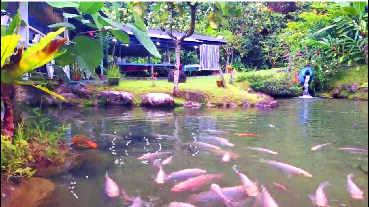 Kamagi Riverside Retreat - YouTube