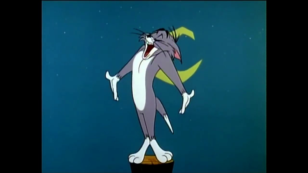 Boomerang Tom And Jerry Intro Nieuwe Series Te Zien Op Boomerang + WIN