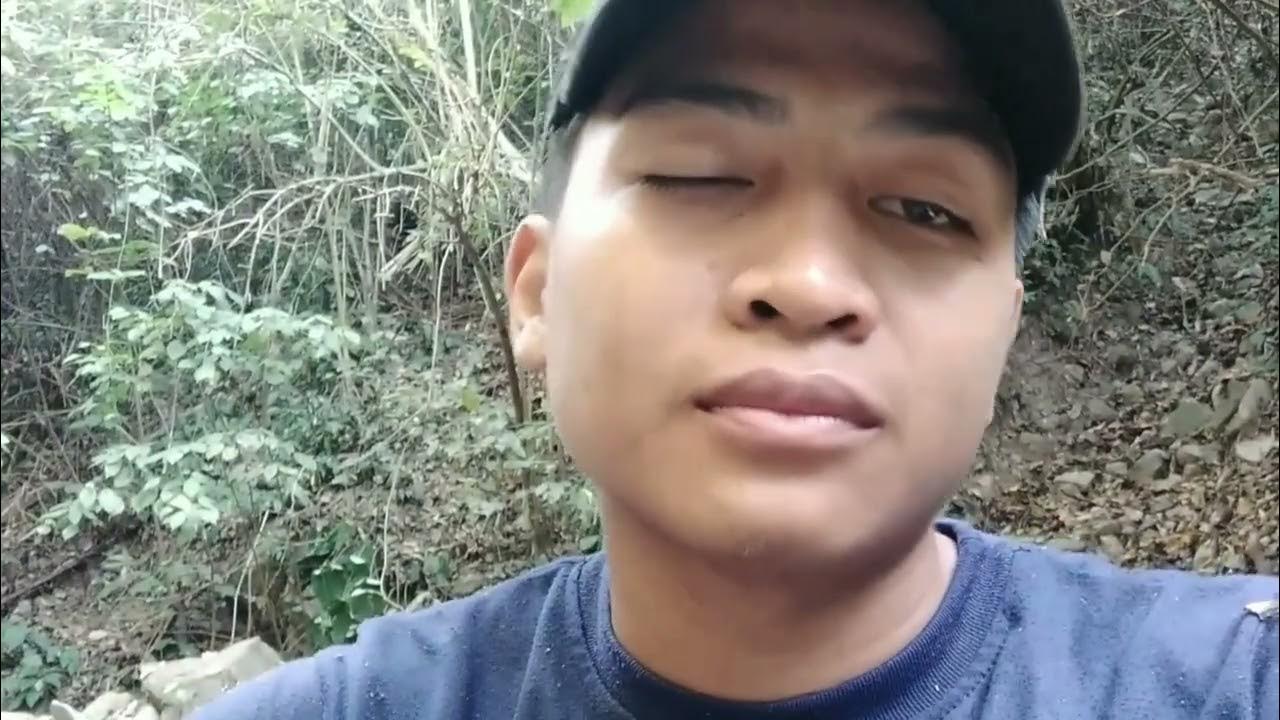 berpetualang bersama bapak-bapak mencari umbi gadung di hutan - YouTube